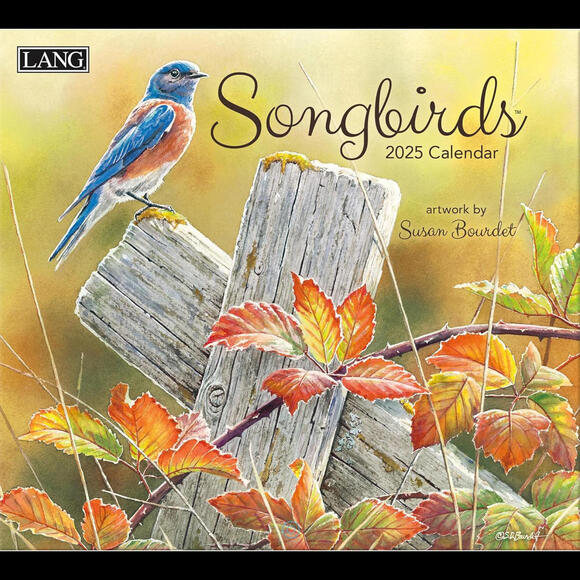 Office | Lang Songbirds 225 Wall Calendar | Poshmark